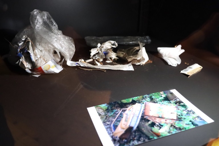 Environnement : la mise en lumière de "l'expo Beuret" fait ses premiers ...